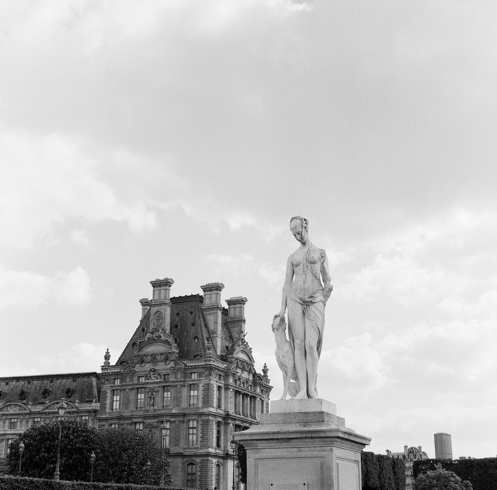 Merci Paris – Damaris Bailey